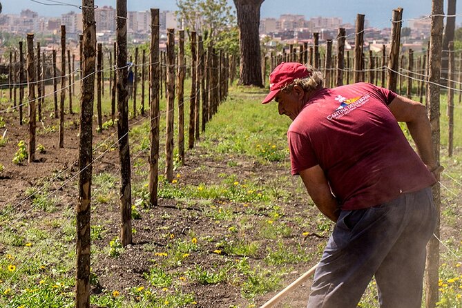Private Pompeii Tour with Wine Tasting Experience - Final Thoughts