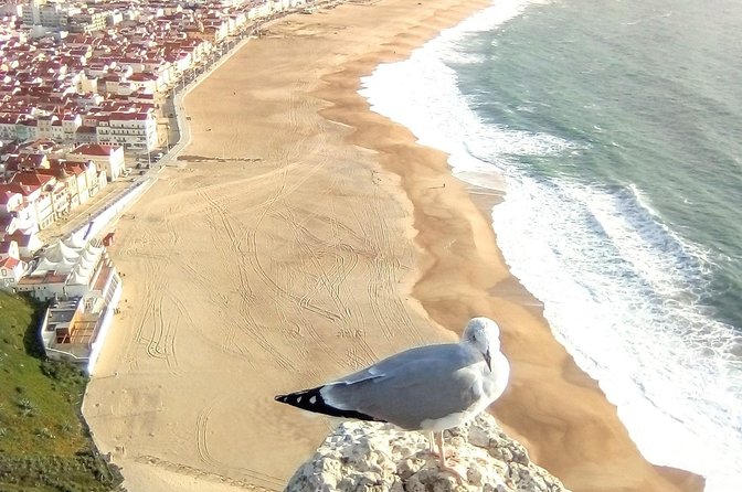 Private tour for 1 to 4 people: Fátima, Batalha, Nazaré and Óbidos - Who Will Love This Tour?