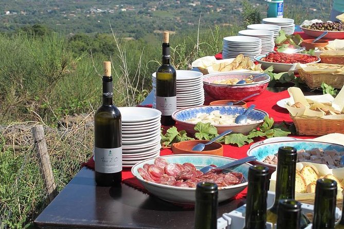 Private tour of Etna and Winery Visit with Food and Wine Tasting from Taormina - FAQ About the Etna and Winery Tour