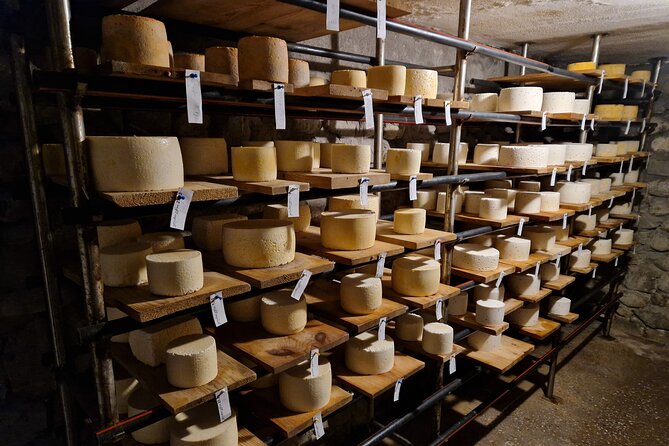 Private Ultimate Foodie Kakheti Experience with wine and cheese - Final thoughts