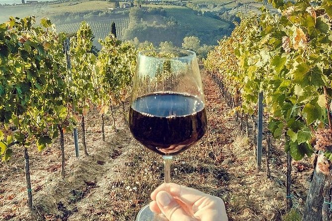 Private visit to the cellars of Etna with wine tasting - Final Thoughts
