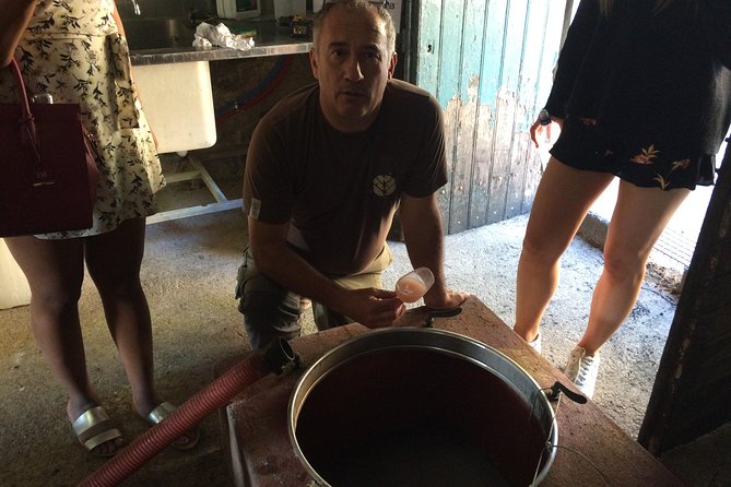 Private Wine day tour from Carcassonne and around. - The Sum Up