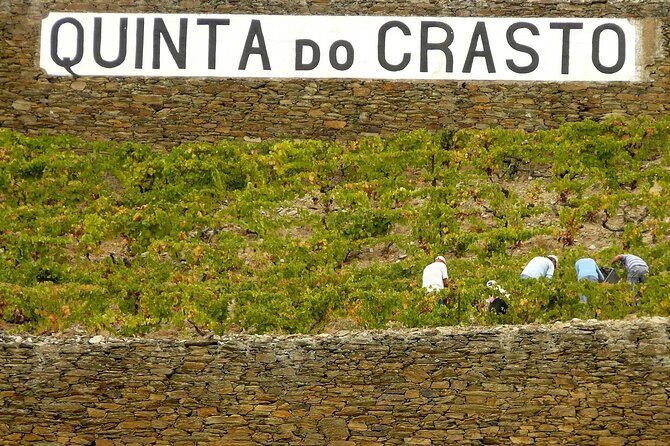 Private Wine & Food Tour in Douro - Frequently Asked Questions (FAQs)