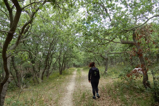 Querceti di Quasano: excursion in the Alta Murgia National Park - FAQs About the Querceti di Quasano Tour