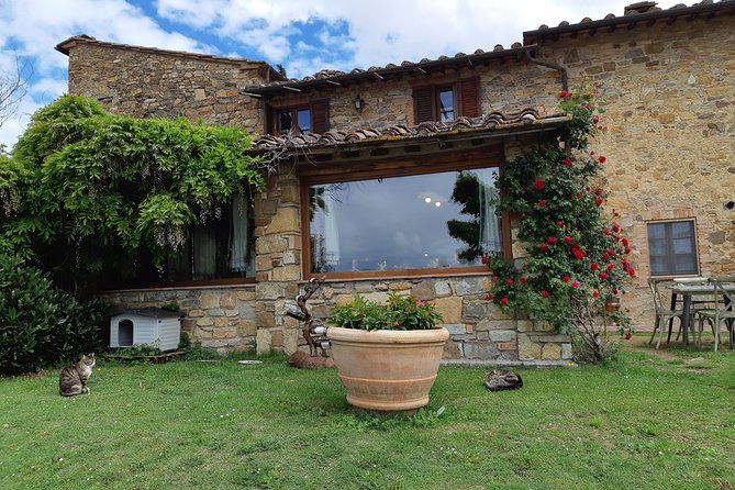 "Ramble Through The Rolling Hills Of Chianti" with lunch & Wine Tastings - Transport, Timing, and Group Size
