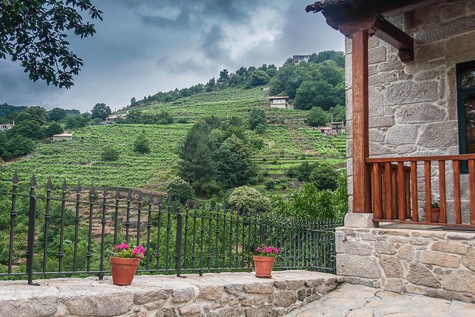 Ribeira Sacra, "Heroic Wines" Private Tour from Santiago - The Sum Up