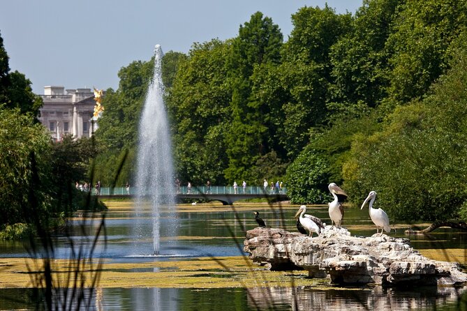 Royal Tour & Buckingham Palace State Rooms or Royal Mews Option - Who Should Book This Tour?