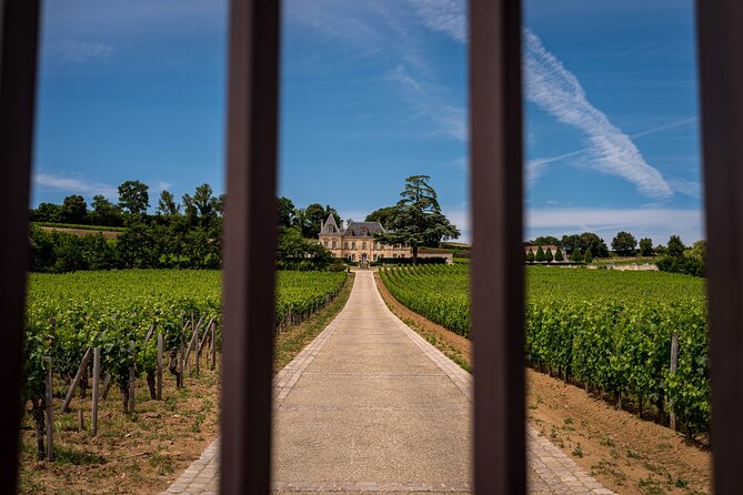 Saint-Émilion Wine Tour By Premium Electric Bike, Lunch Included - FAQ: Practical Questions Answered