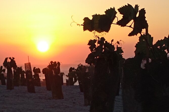 Santorini: Private Agri-Educational Visit to an Organic Farm - Detailed Breakdown of the Itinerary