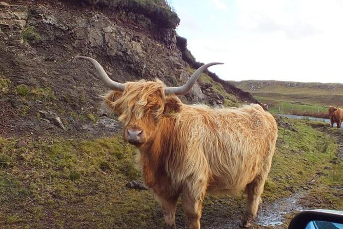 Scotland Tours - FAQs