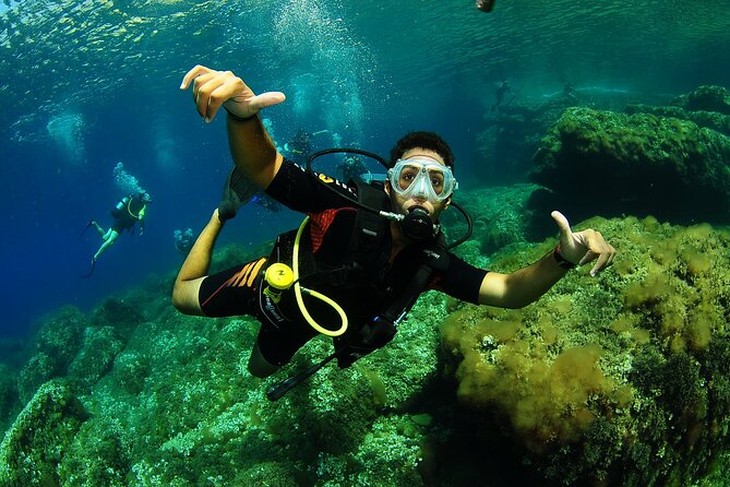 Scuba Diving Baptism and Snorkeling in Ibiza - FAQs