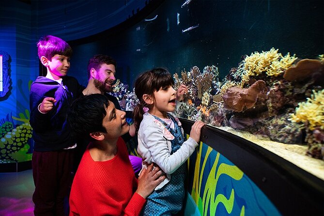 SEA LIFE London Aquarium Admission Ticket - Final Thoughts: Is It Worth Visiting?