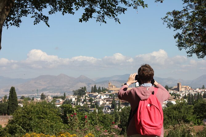 Semi Private Tour to the Alhambra from Nerja - Price and Value