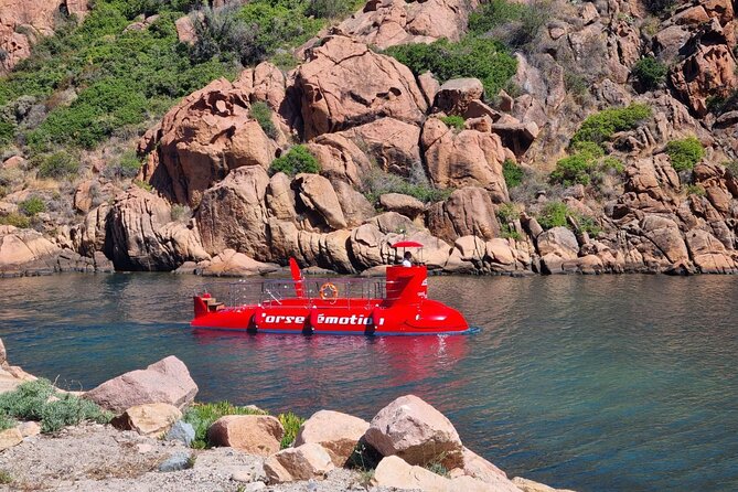 Semi-submarine: visit to the seabed of Porto Bay - The Sum Up