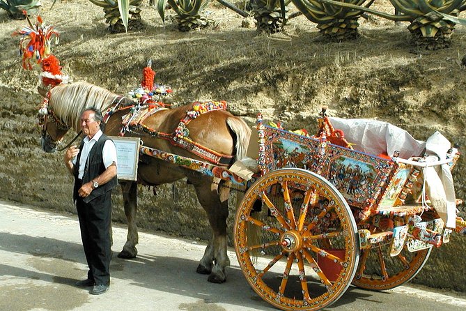 Sicily in One Memorable Full-Day from Rome - Who Should Consider This Tour
