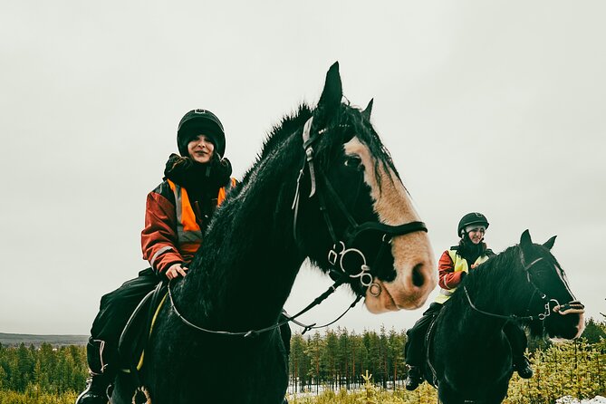 Small-Group Arctic Circle Horse Riding from Rovaniemi - Practical Details