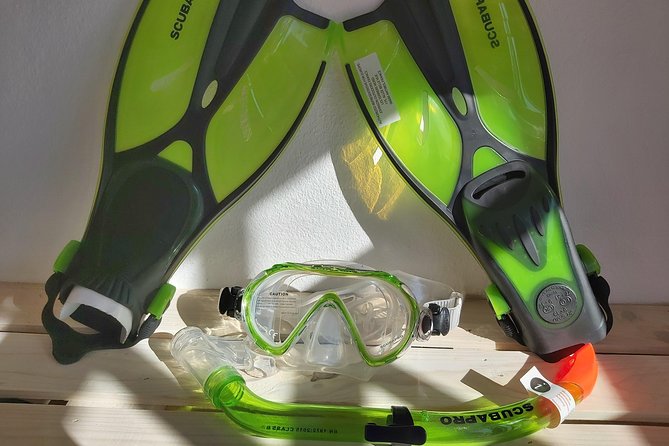 Snorkel Experience in Lanzarote - Why Travelers Love It