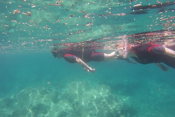Snorkeling trip - Frequently Asked Questions