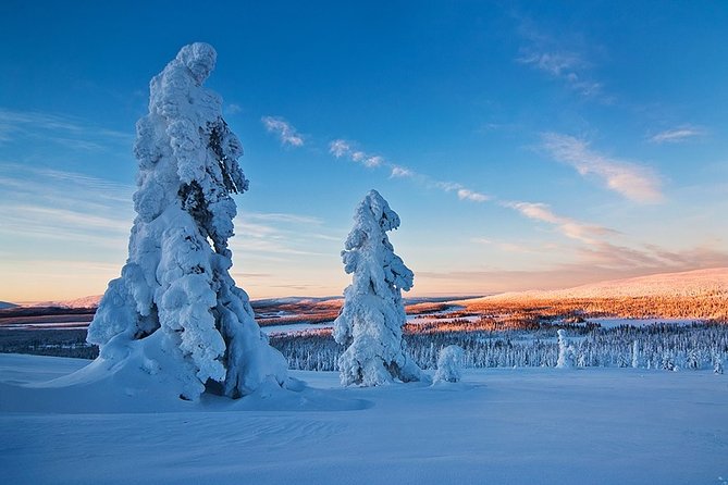 Snowmobile Driving - Morning start - FAQs
