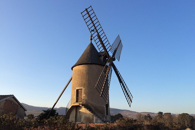 Southern Burgundy Wine Tour - Full Day Shared tour from Lyon - Final Thoughts