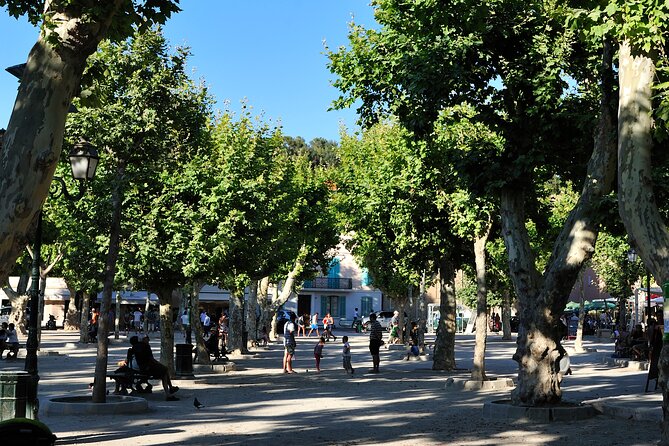 St-Tropez Day Tour from Cannes Small-Group and Shore Excursion - FAQ: Your Questions Answered