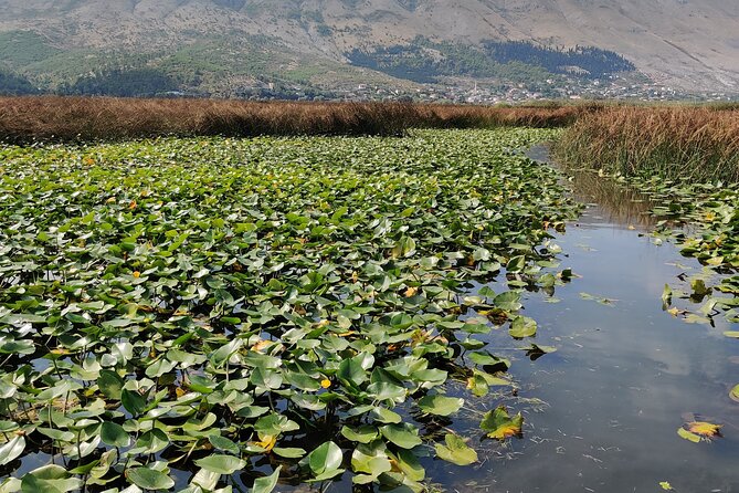 Stand Up Paddle Board or Kayak Rental in Shkodër - Practical Details You Should Know