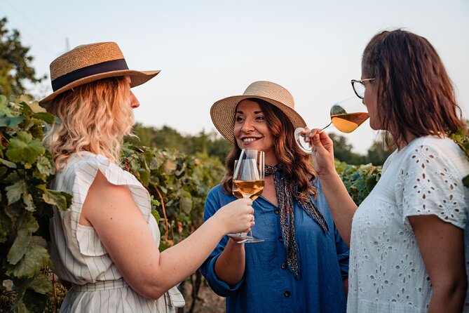 Sunset wine tasting in vineyard - In The Sum Up