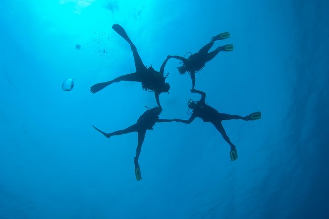 Tossa de Mar Scuba Diving PADI - Final Thoughts: Is It Worth It?