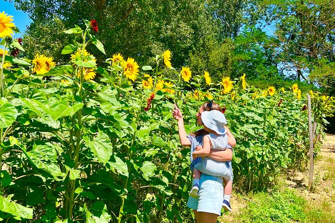 Tour of the Alpacas and the pigs of Cinta Senese in Montepulciano - FAQ