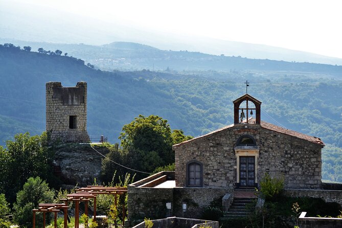 Tour of the Etna cellars, typical lunch and wine tasting - FAQ
