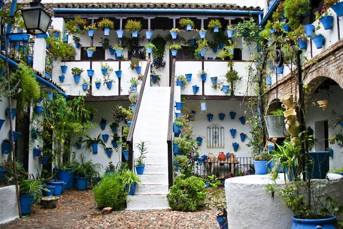 Tour pour la mosquée, l'Alcazar et le quartier juif - Is This Tour for You?