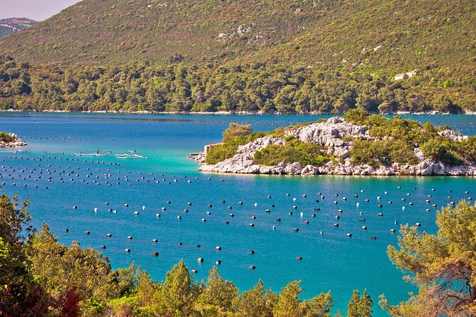 Transfer Split to Dubrovnik with Sightseeing in Ston Town - The Sum Up: Who Will Benefit Most?