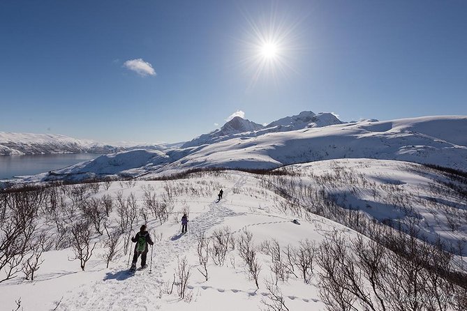 Tromsø: Winter Snowshoeing with Wandering Owl - The Reviews: What Travelers Say