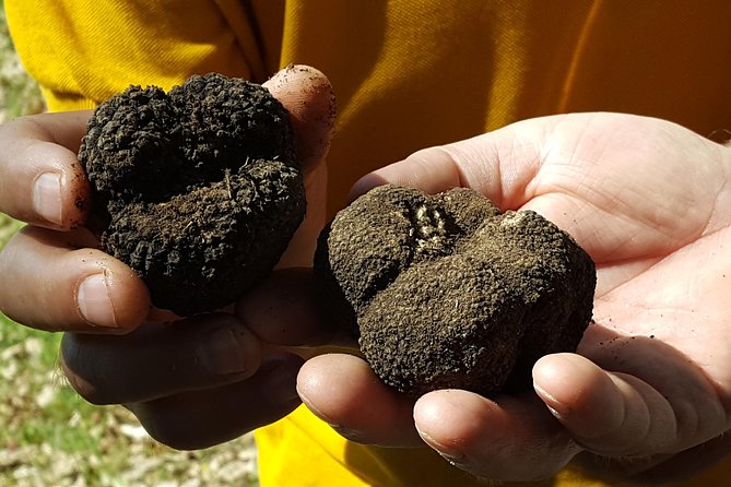 Truffle Hunting at Meteora - What Travelers Say