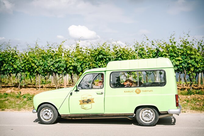 Truffle hunting & cooking tour - Who Is This Tour Best For?