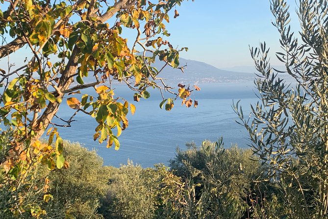 Unique Tour | Discovering Amalfi on a Minivan with driver - Potential Drawbacks