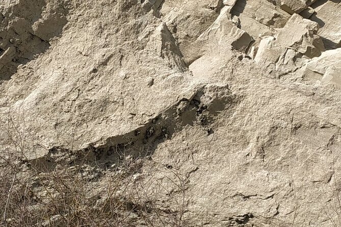 Vashlovani National Park Day Trip from Tbilisi - The Sum Up: Who Should Consider This Tour