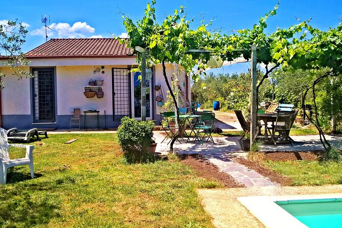 Vegetarian Cooking class in the Roman countryside - Authentic Experiences with a Trusted Provider