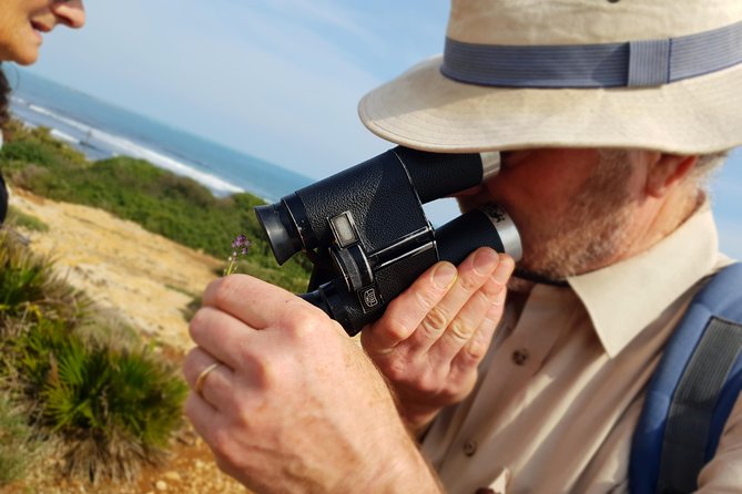 Vendicari - Sicily's best coast nature reserve ( Birdwatching & Archeology ) - FAQs