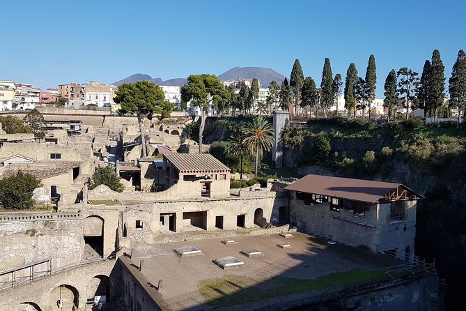 Vesuvius and Herculaneum Day Trip from Naples with skip the line - Frequently Asked Questions