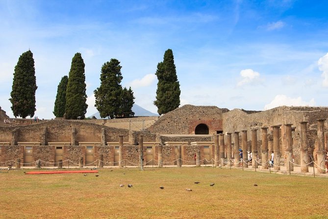 VIP Experience Private tour to Pompeii and Amalfi coast from Rome - Who Is This Tour Best For?