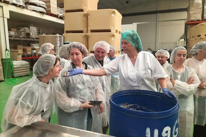 Visit and Gastronomic Experience of the Santoña Anchovy Factory - FAQ
