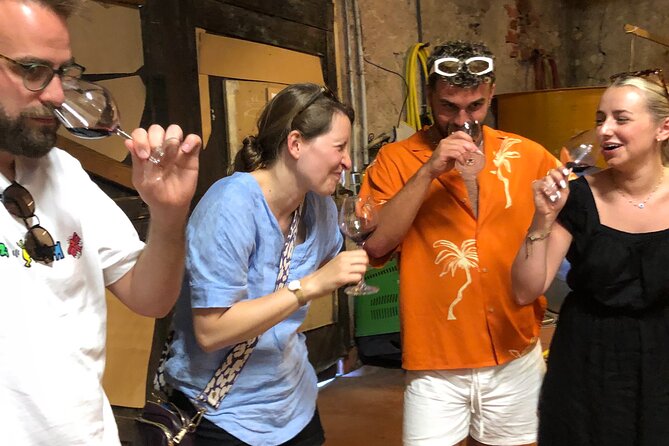 Visit to the Faugères Vineyards with Picnic from Béziers - Final Thoughts
