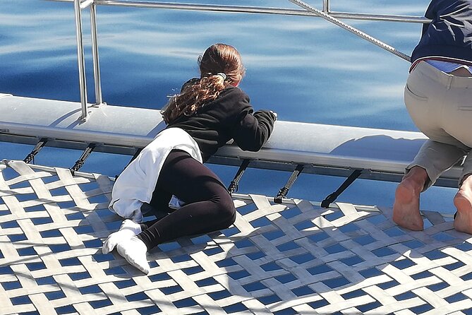 Whale & Dolphin Watching With Mustcat Virgin Coast Trip On a Large Catamaran - The Sum Up