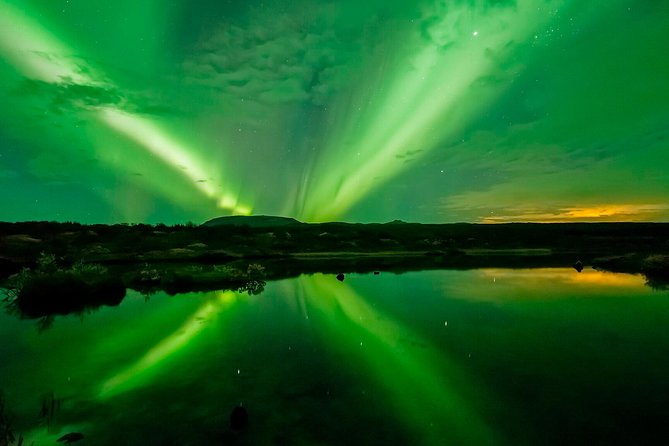 Whale Watching and Northern Lights Half-Day Combo Tour - FAQ