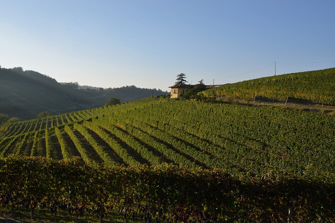 Wine & Chocolate Tour and Tasting in Alba area - Final Thoughts