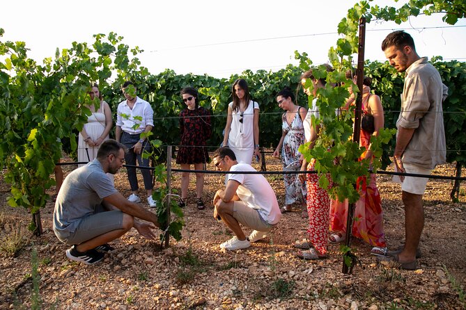 Wine Experience: vineyard, wines and food - Frequently Asked Questions