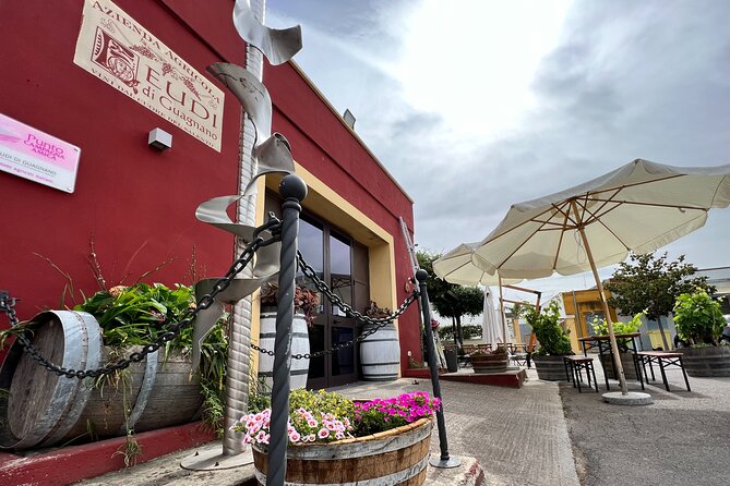 Wine Experience - The Reviews Speak for Themselves