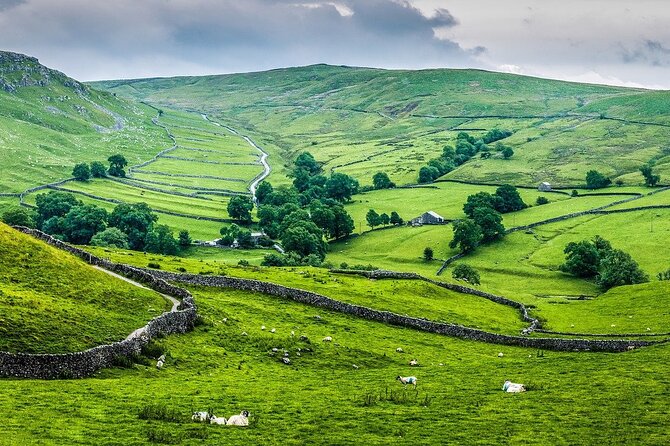 Yorkshire Dales Tour App, Hidden Gems Game and Big Britain Quiz (7 Day Pass) UK - Who Is This Tour Best Suited For?