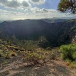 7-Hours Private Tour Volcanoes and Wine Region in the Canary Islands - Who Will Enjoy This Tour?